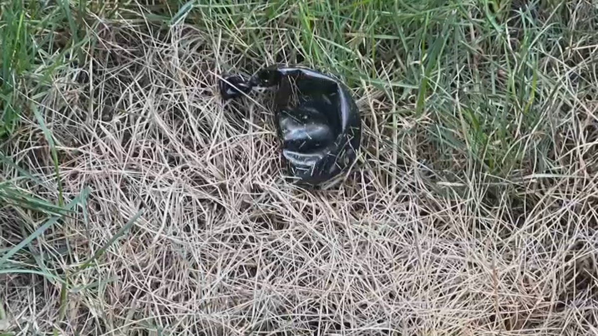 Canton police investigate as bleach-filled balloons damage lawns of ...
