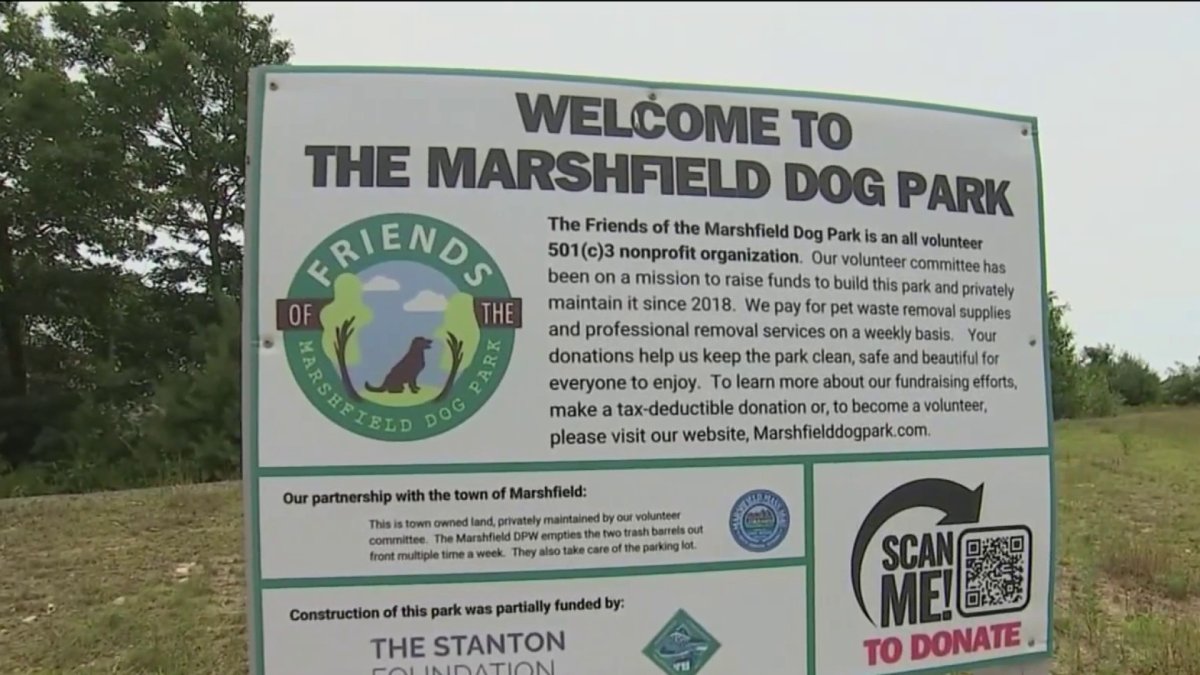 Marshfield, MA dog owners warned of ‘viral’ illness – NBC Boston