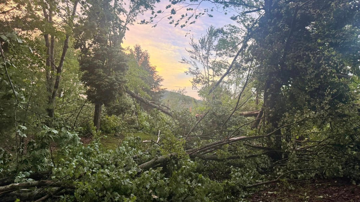 Lyme, NH tornado confirmed by National Weather Service – NBC Boston