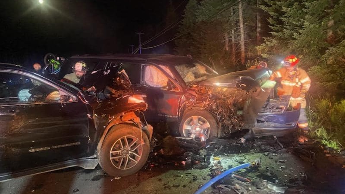 4 adults, 4 kids injured in head-on crash caused by moose – NBC Boston