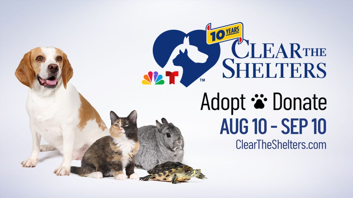 How to donate to the 2024 Clear The Shelters pet adoption campaign ...