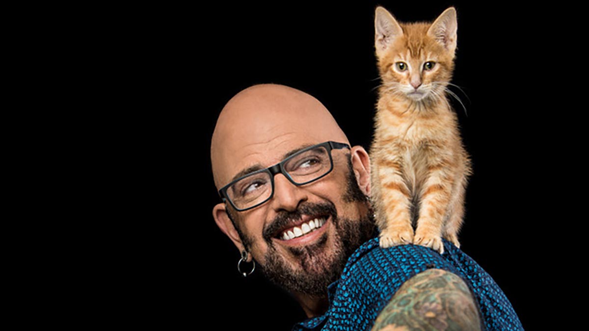 Jackson Galaxy joins Clear The Shelters’ 10th annual campaign – NBC Boston