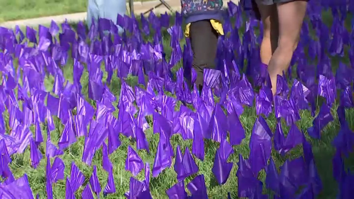Opioid crisis in Mass: Flags honor lives lost to overdoses – NBC Boston