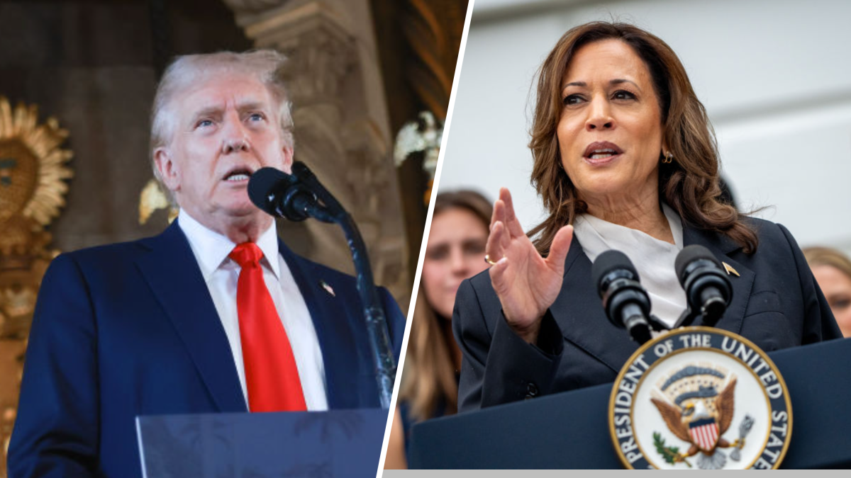 Comparing the campaign strategies of Kamala Harris and Donald Trump – NBC Boston