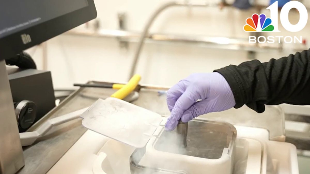 Egg freezing on the rise as many women choose to delay parenthood – NBC ...