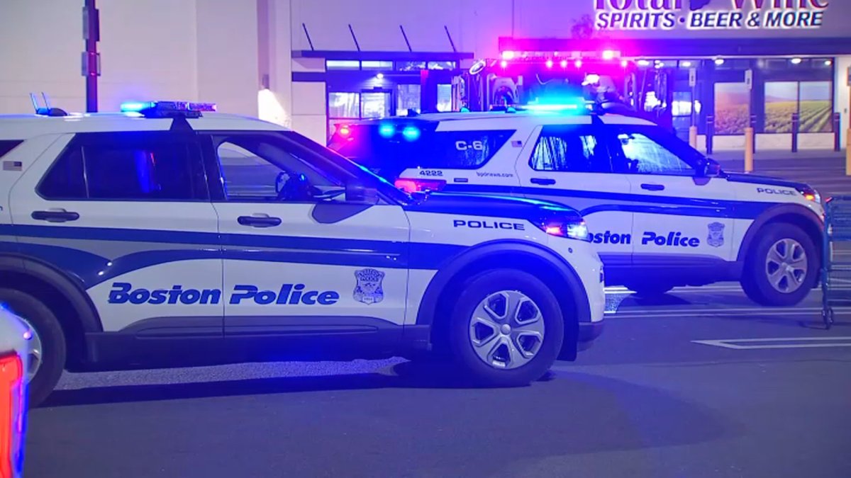 Woman arrested after hitting another woman with car at South Bay ...