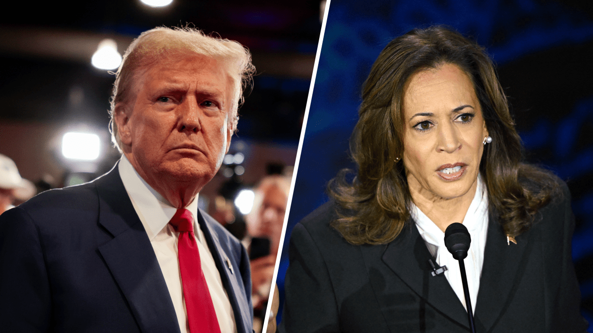 Trump-Harris 2024 election analysis: State of the race 6 weeks out ...