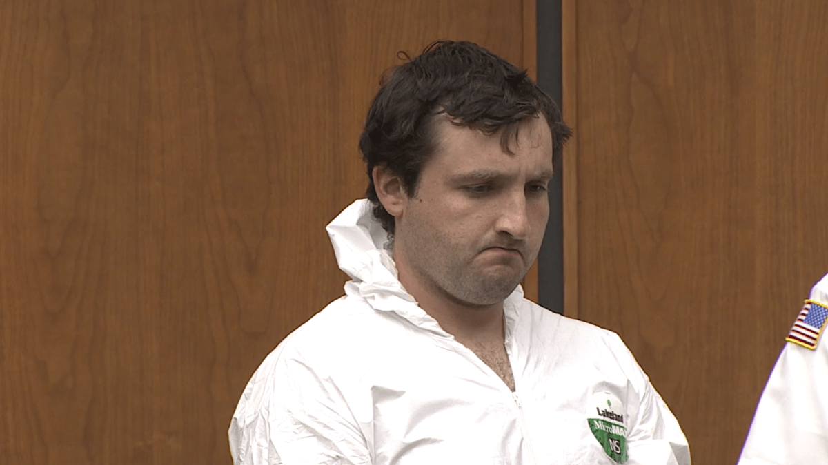 Reading, MA stabbing: Christian Alexander attacked parents, DA says ...