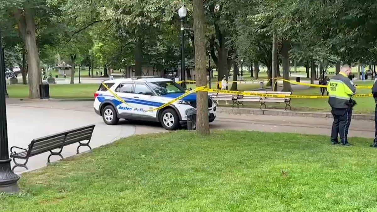 Boston Common violence to be topic of public safety hearing – NBC Boston