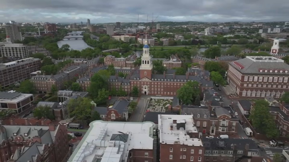 Harvard professors banned from library – NBC Boston