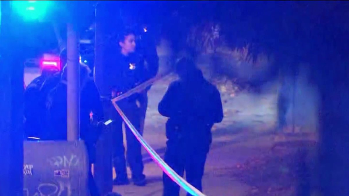 Dorchester dog attack leaves 2 injured – NBC Boston