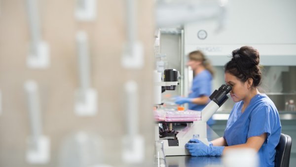 Charles River Labs cuts 1,300 workers, will close over a dozen sites ...