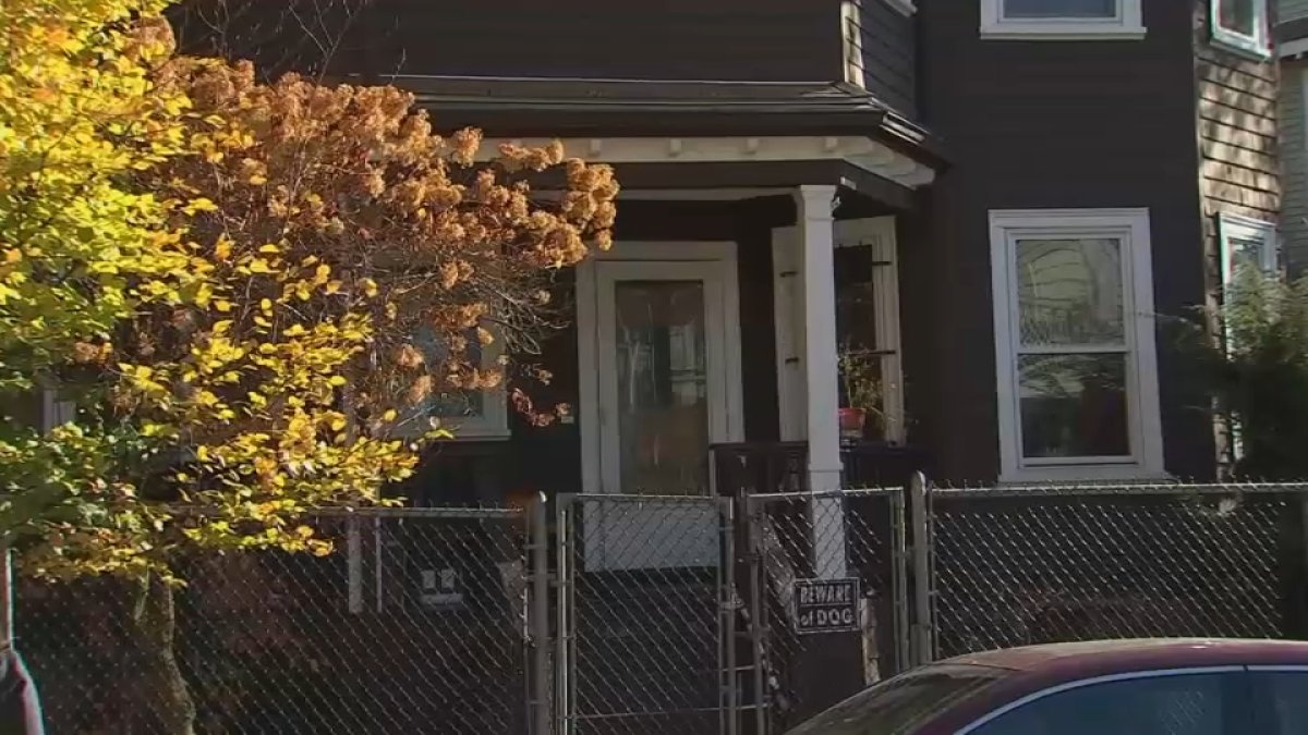 Roxbury dog attack leaves Jeri McGinnis dead – NBC Boston
