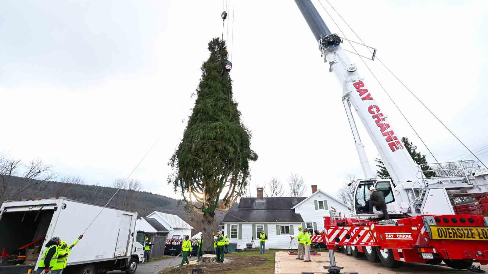 Rockefeller Center Christmas tree: What to know – NBC Boston