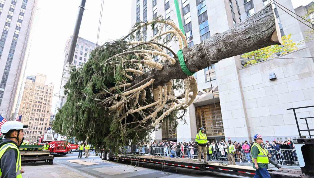 Rockefeller Christmas Tree comes down Saturday, marking end to holidays ...