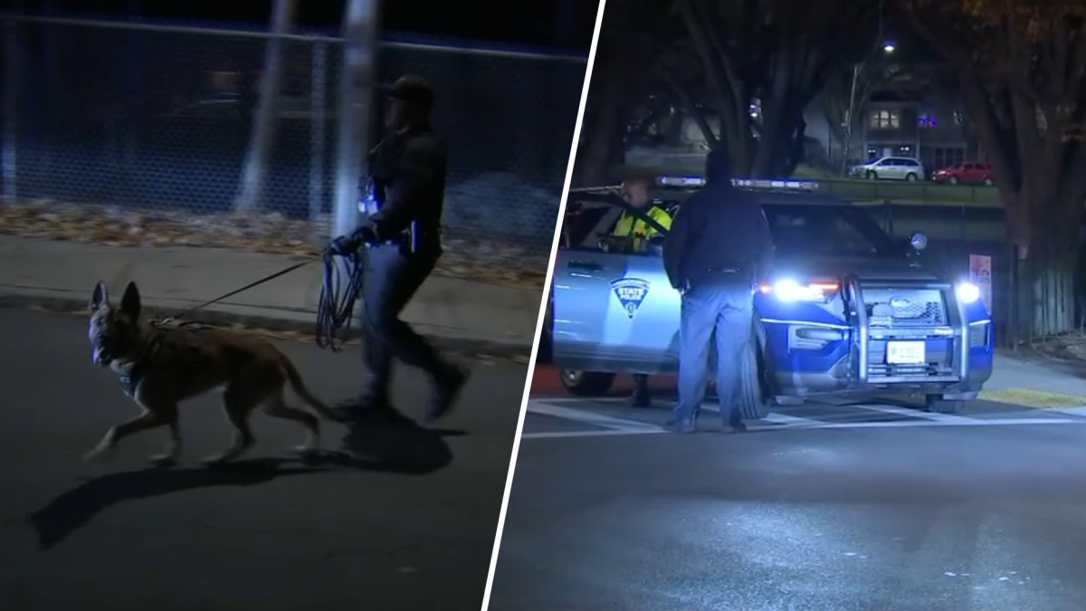 Police: Driver arrested in Randolph, MA after ramming cruiser in Boston ...