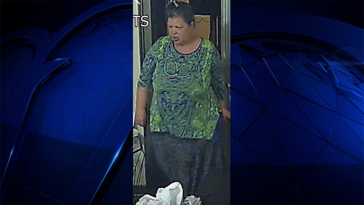 Police seek East Boston woman missing since Monday – NBC Boston