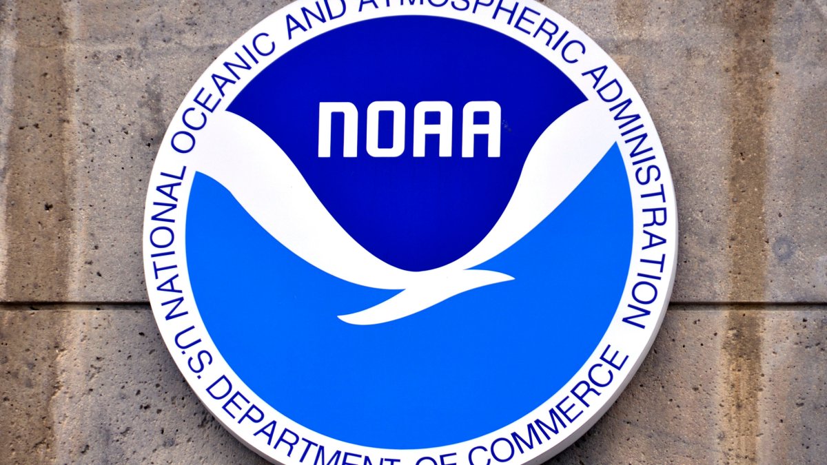 Meteorologist among hundreds of DOGE cuts at NOAA speaks out – NBC Boston