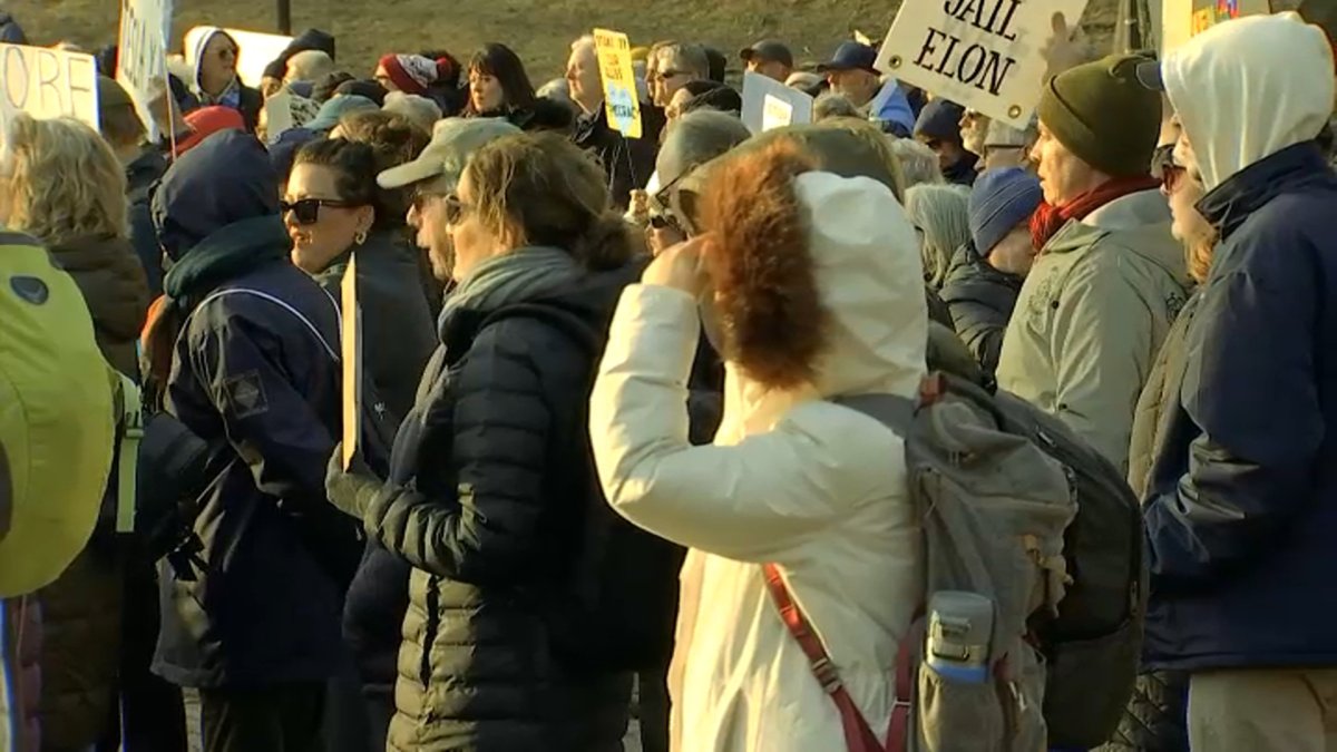 Hundreds protest Trump administration on Boston Common – NBC Boston