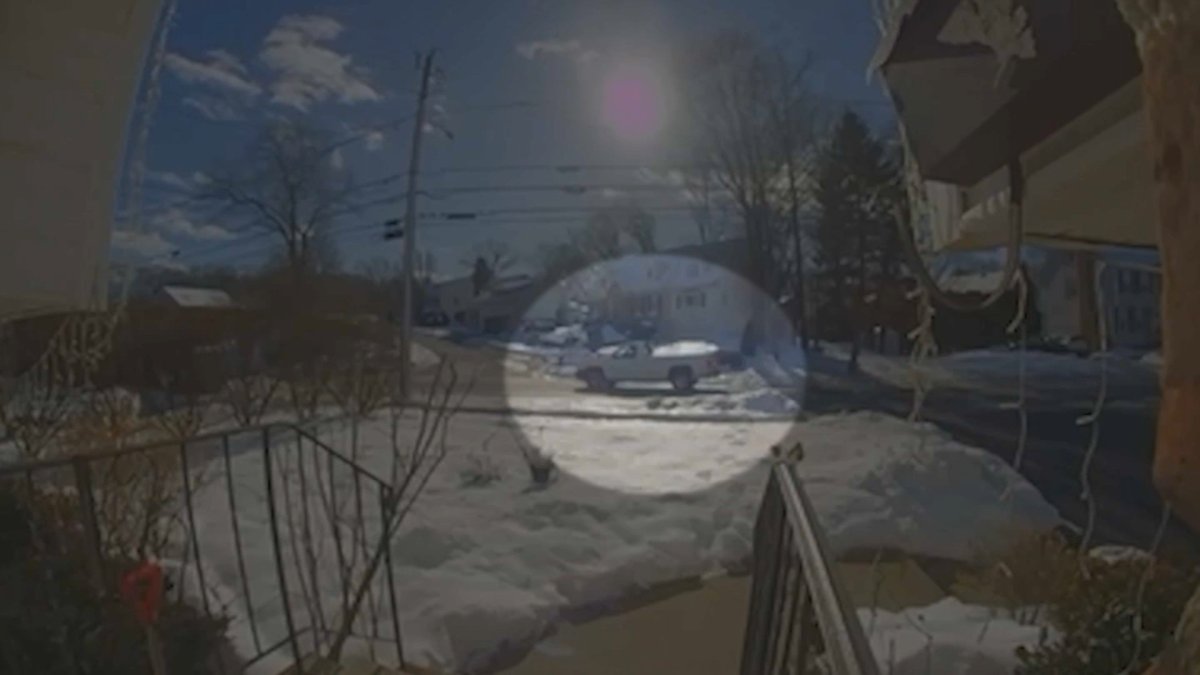 Driver sought in Stoneham hit-and-run that killed dog – NBC Boston