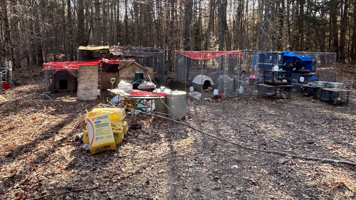 Sturbridge MA police find 96 dead animals: Marlborough man arrested ...