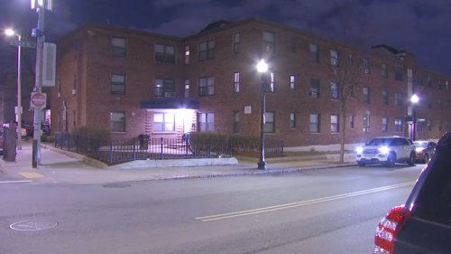 Hookah burns baby in Charlestown, Boston police say – NBC Boston