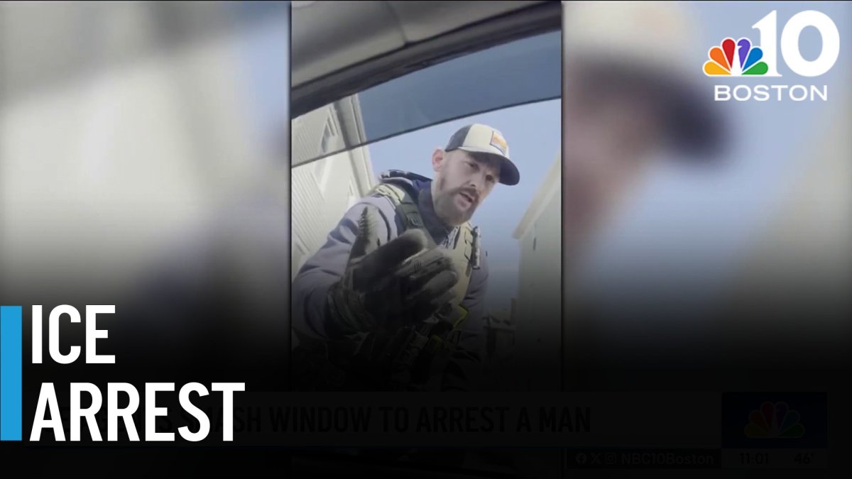 Woman speaks after video shows ICE agents smashing car window to get ...