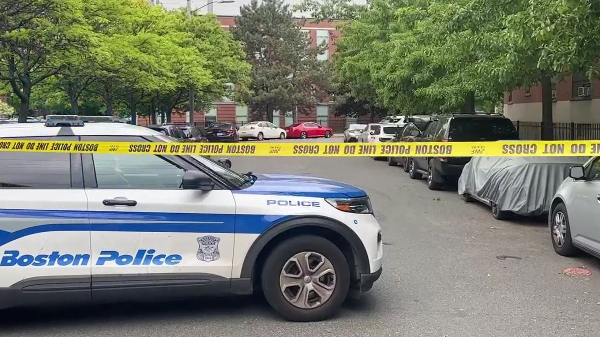 Man accused of beating woman to death in Boston – NBC Boston