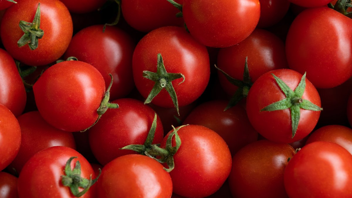 Tomato recall: Alert issued for Illinois, 10 states – NBC Boston