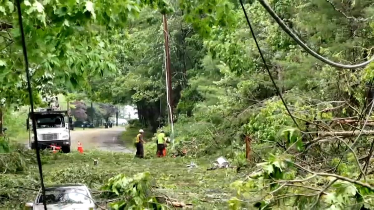 Microburst brings down trees in Shirley and Ayer – NBC Boston