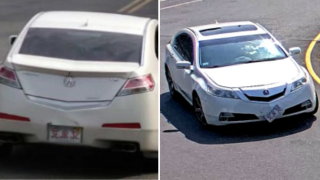 Woman dead in Springfield, MA, hit-and-run – NBC Boston