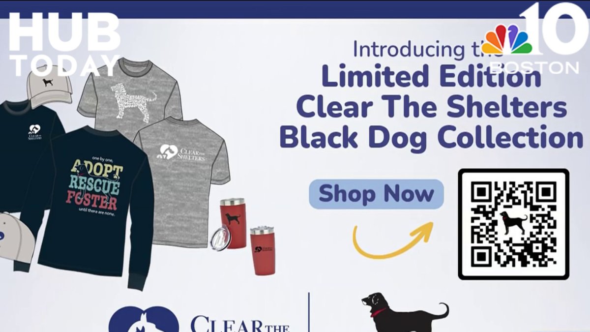The Story of the Iconic New England brand The Black Dog – NBC Boston