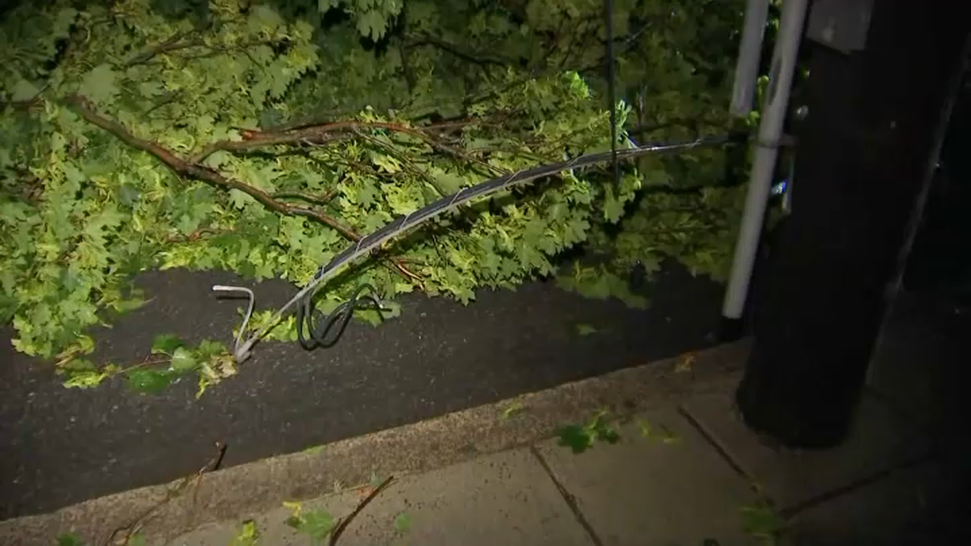 Mass. power outages after storm Thursday — damage reports – NBC Boston