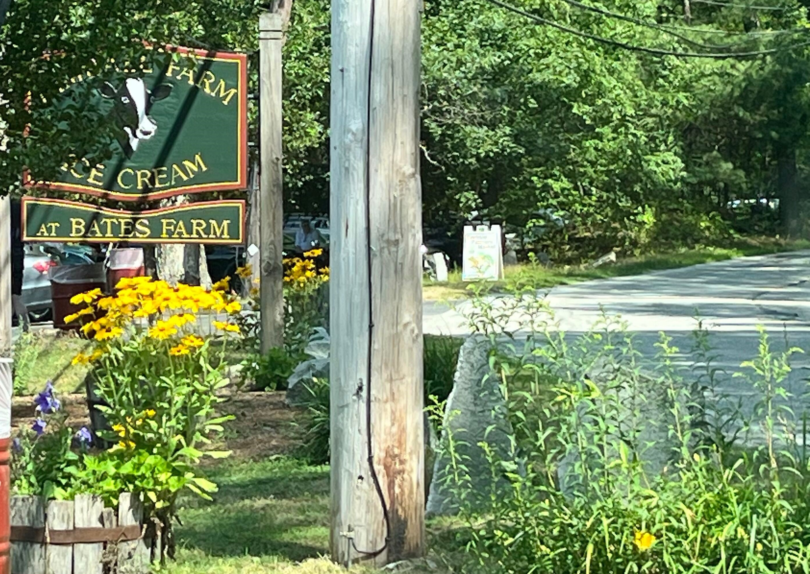 PHOTOS: Ice cream, animals at Kimball Farm in Carlisle, Mass. – NBC Boston