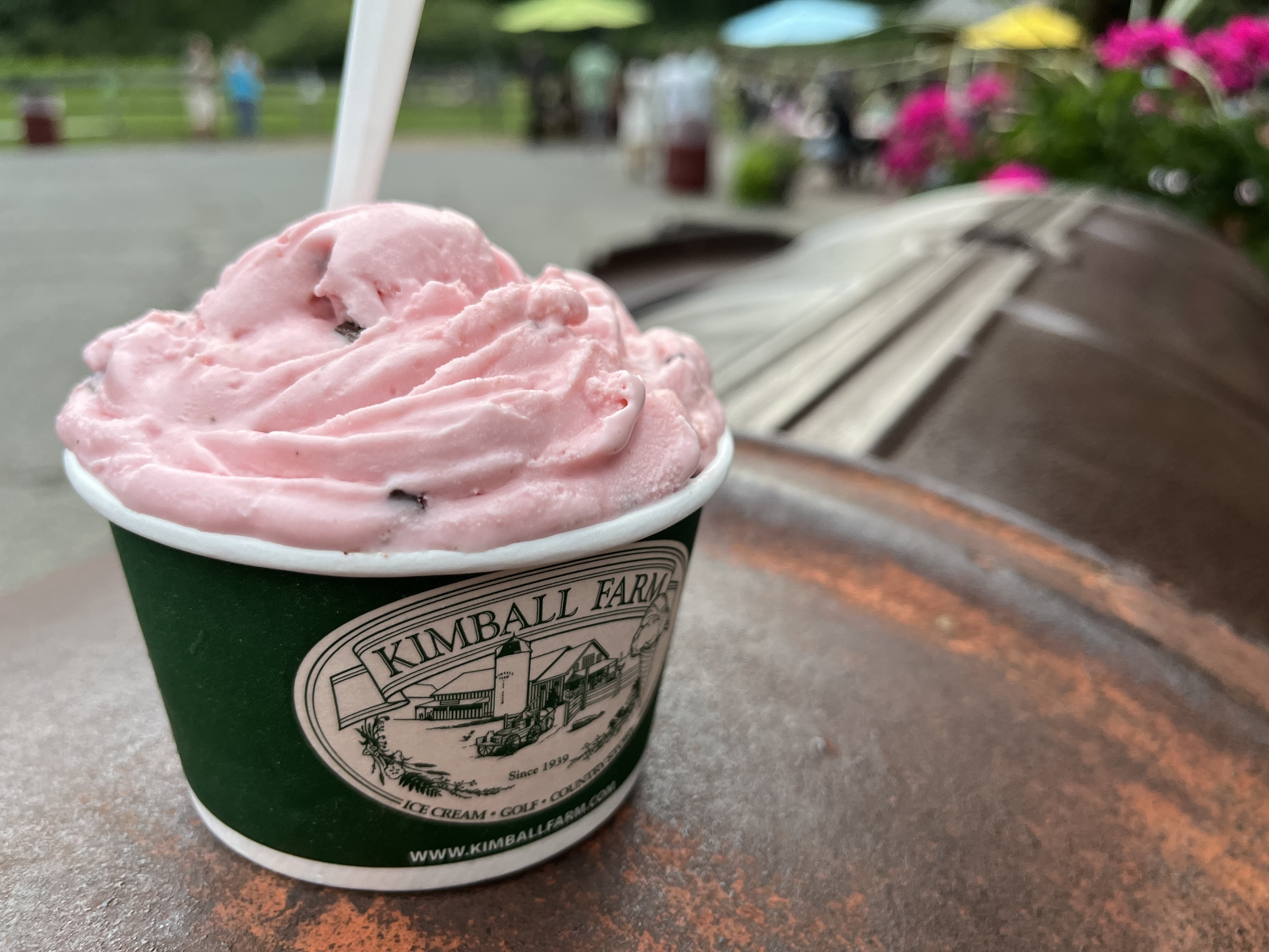 PHOTOS: Ice cream, animals at Kimball Farm in Carlisle, Mass. – NBC Boston