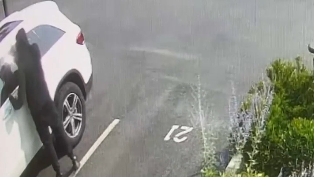 Quincy car vandalism suspect facing 63 charges – NBC Boston