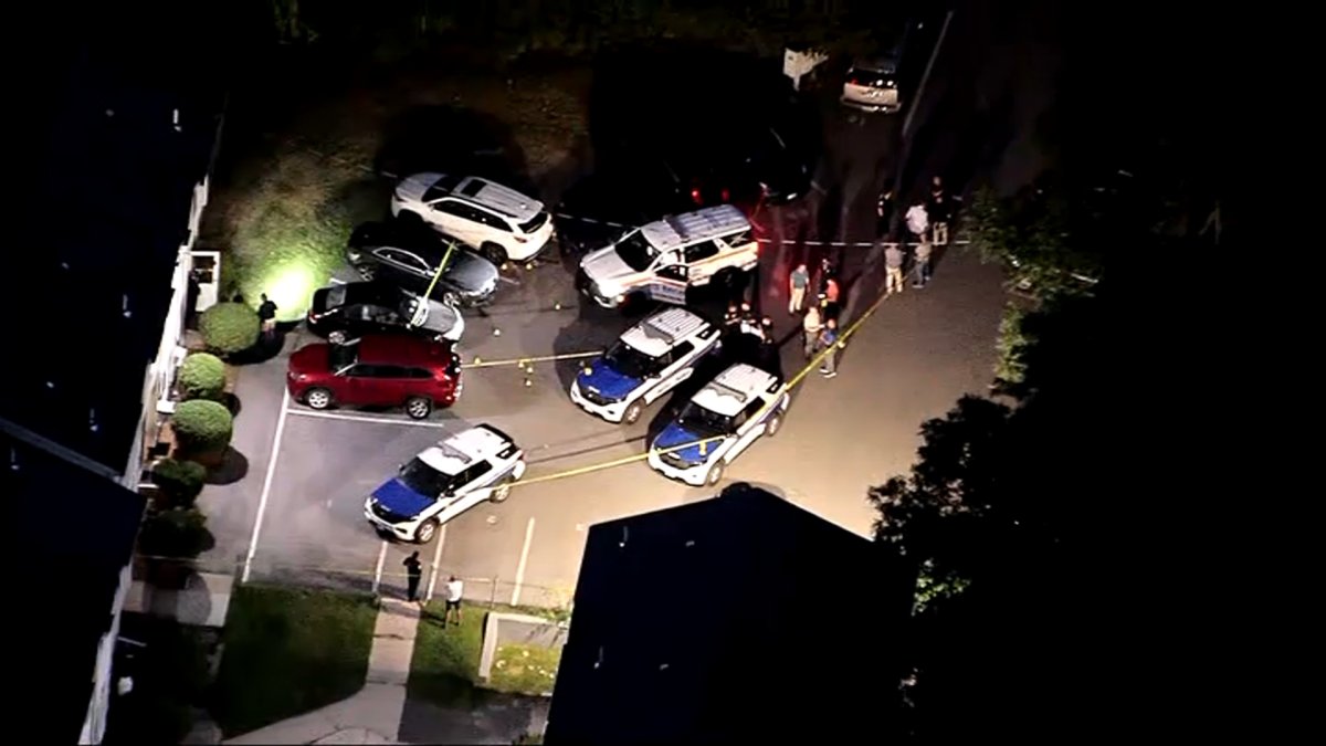 1 mauled in Dorchester dog attack, Boston police say – NBC Boston