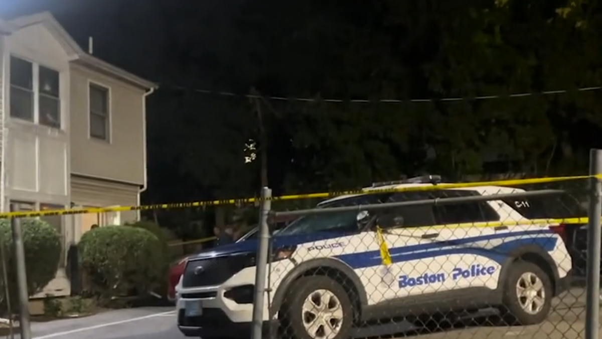 Boston MA dog attack last night in Dorchester – NBC Boston