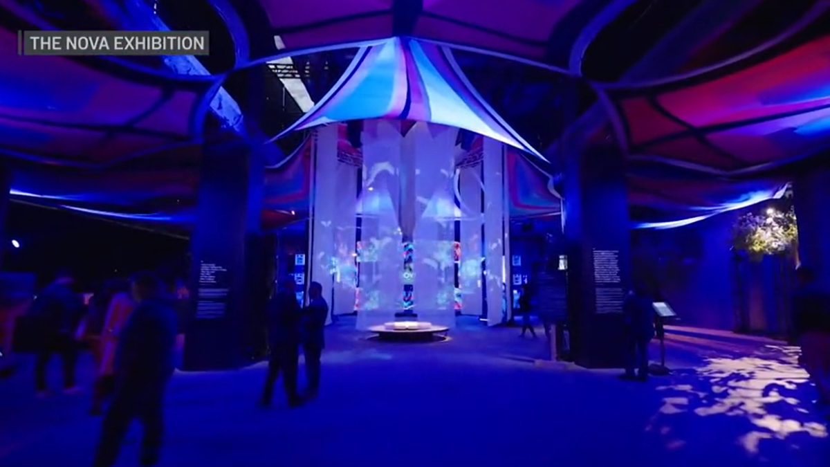 Nova Exhibition in South Boston – NBC Boston