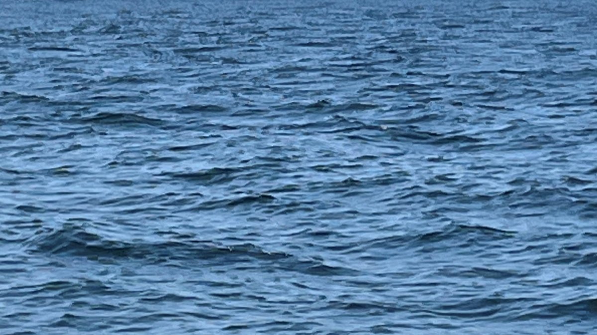 Body of Jon Carter found in Merrimack, NH lake, police say – NBC Boston