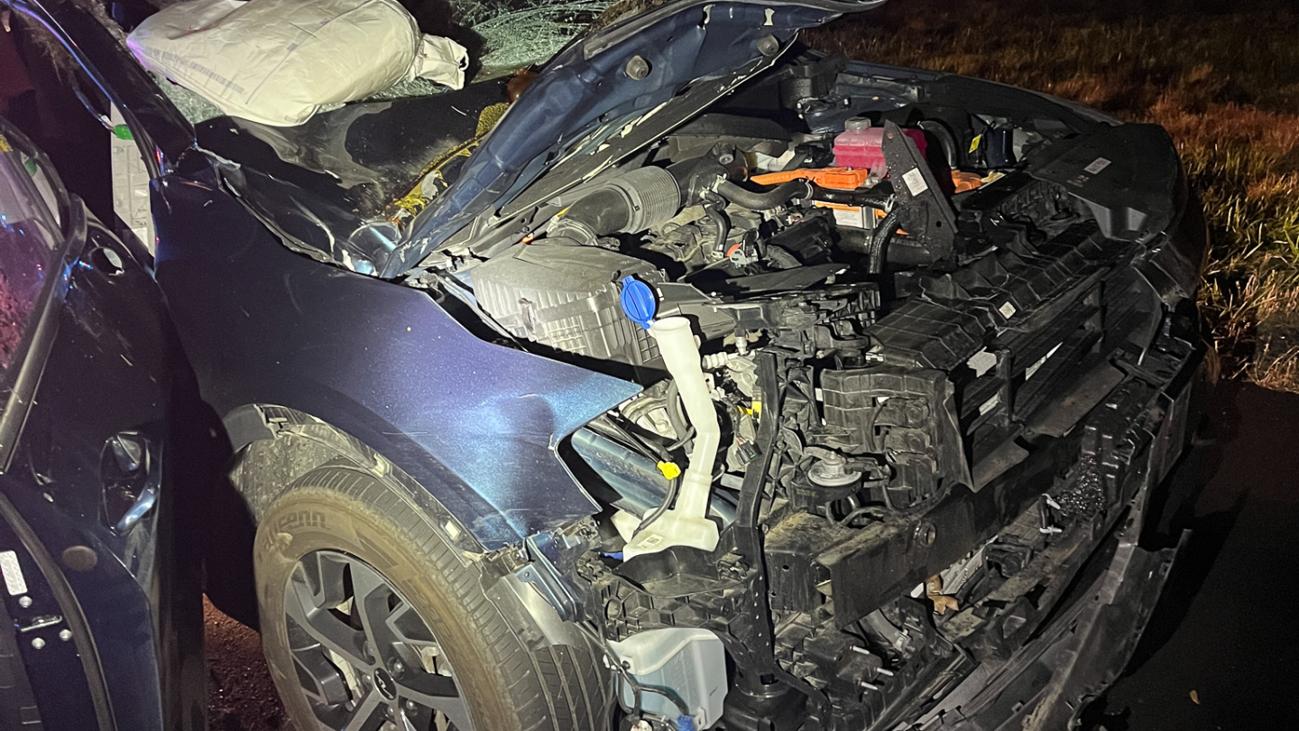 Car hits moose on Route 101 in Candia, NH – NBC Boston