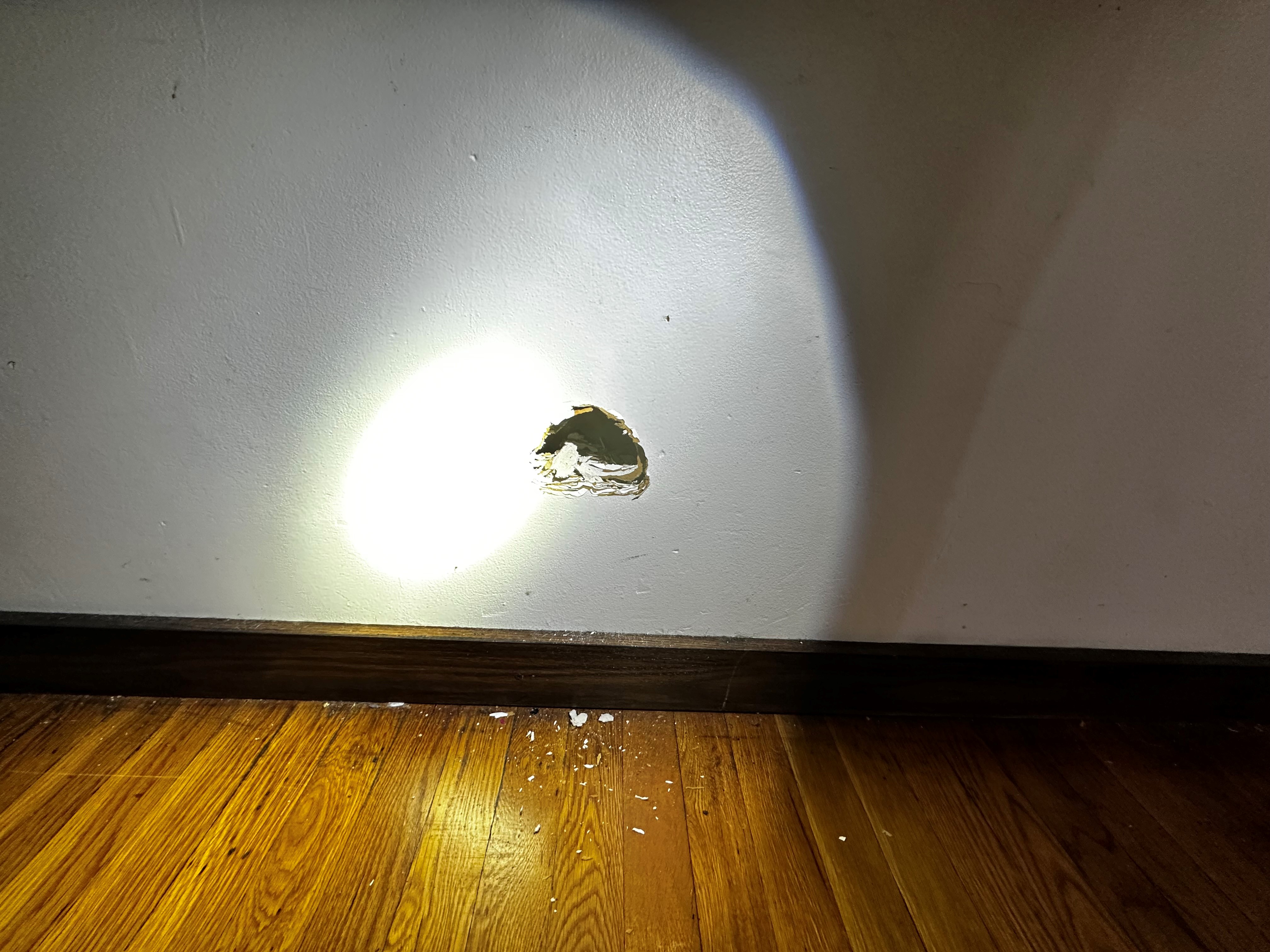 ‘Professional tenants’ evicted, leaving Burlington, MA home trashed ...