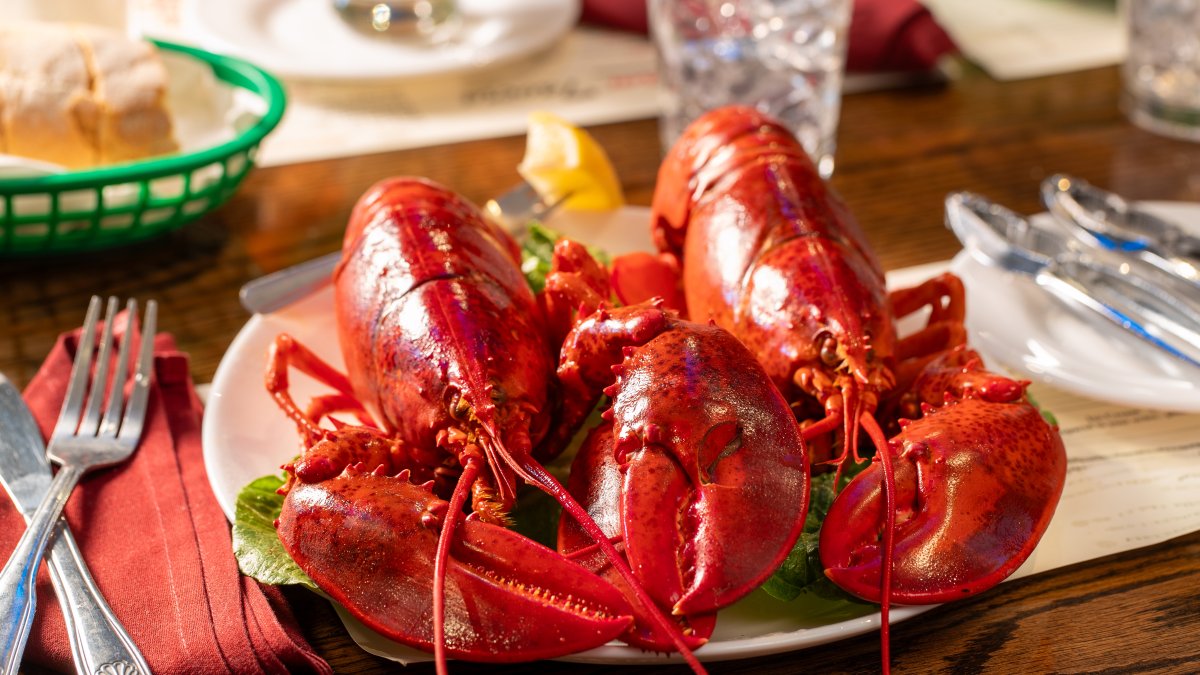 North End Lobster Co. opens in Boston – NBC Boston