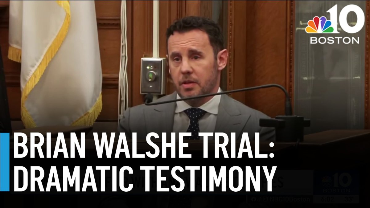 Man who had affair with Ana Walshe testifies at Brian Walshe trial ...