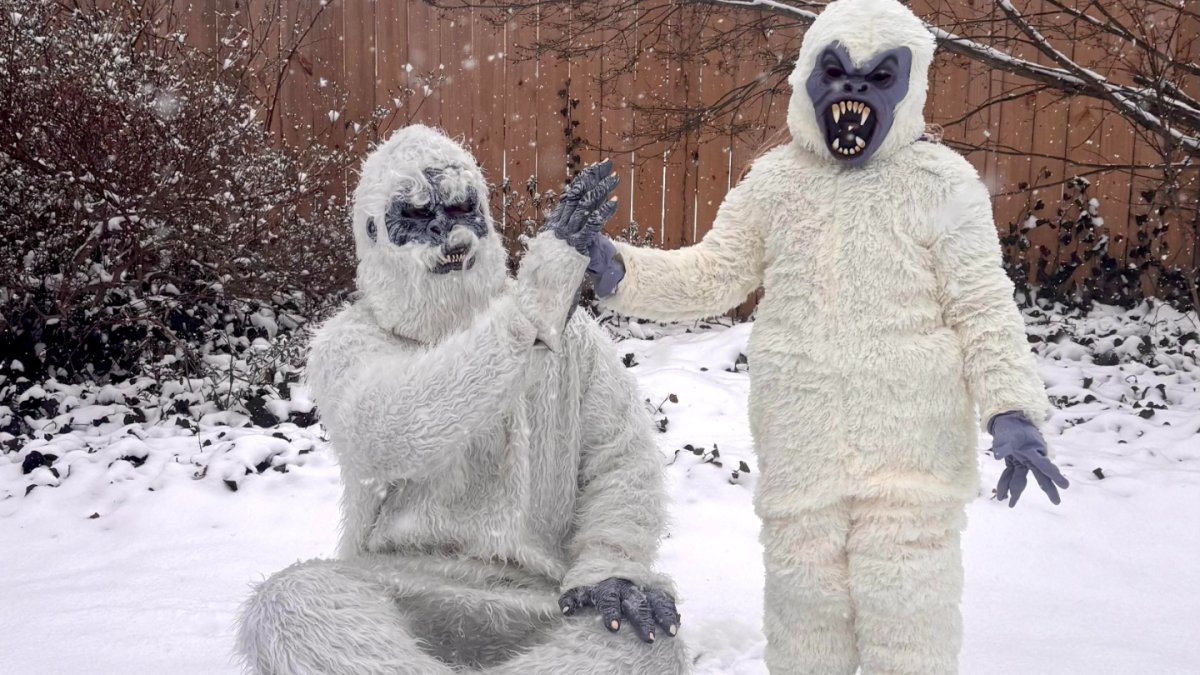 The Boston Yeti is back, and he has a kid! – NBC Boston
