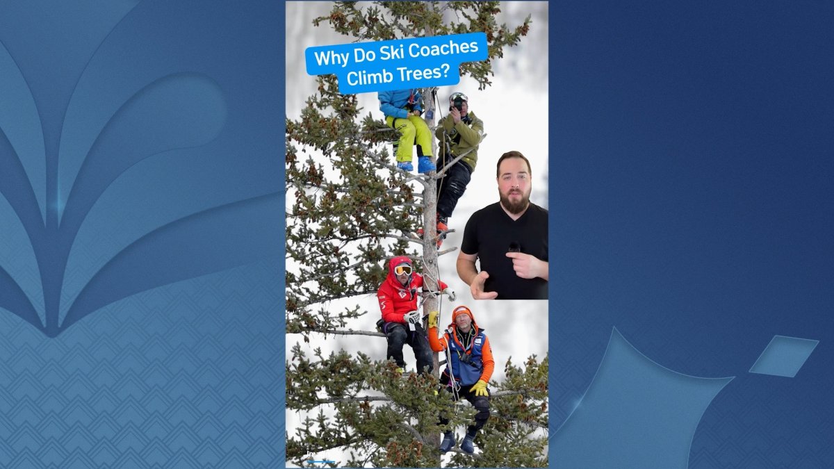 Why alpine ski coaches camp out in trees – NBC Boston