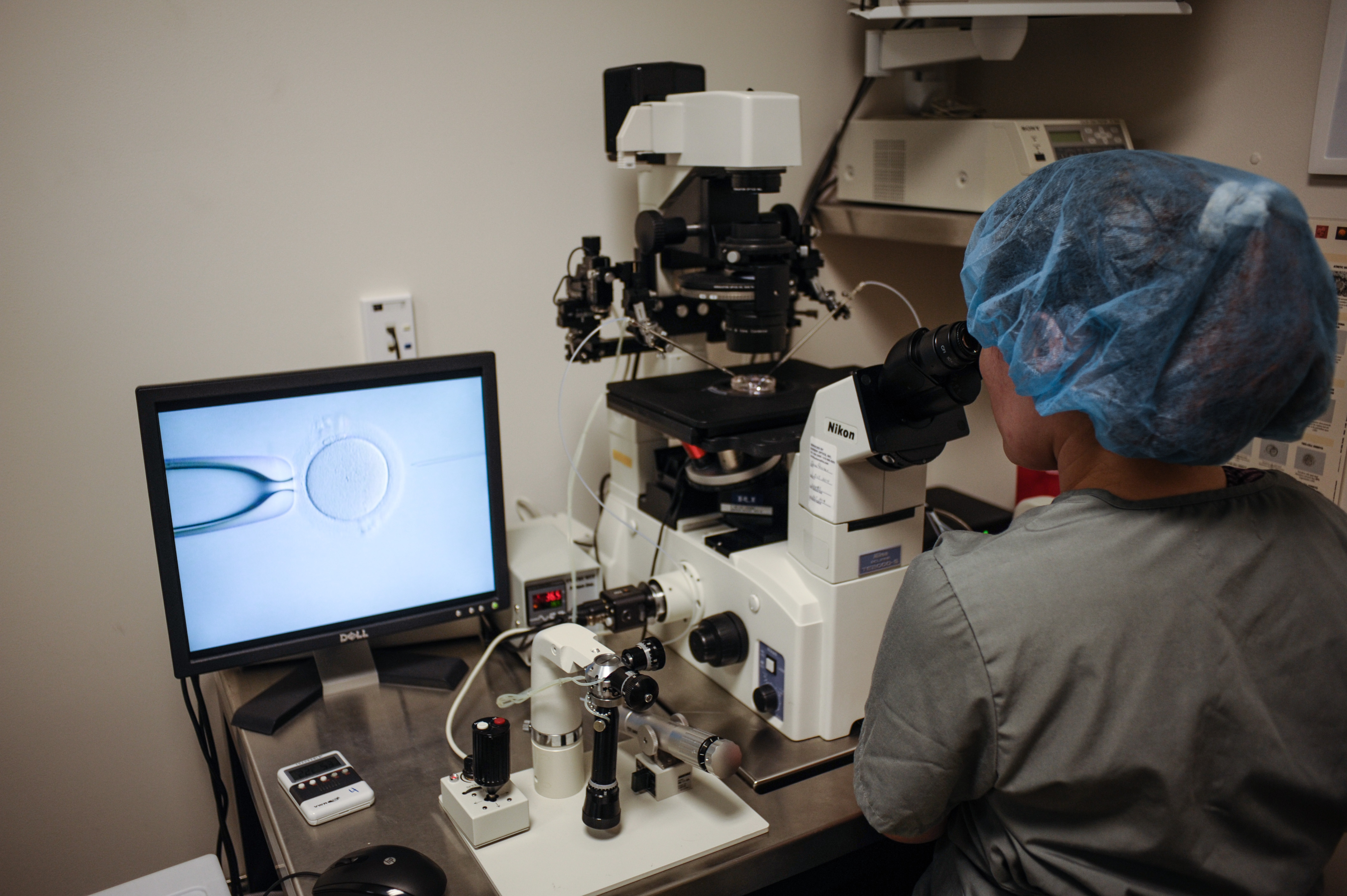 Couple who alleges IVF clinic mixed up their embryos continue court ...