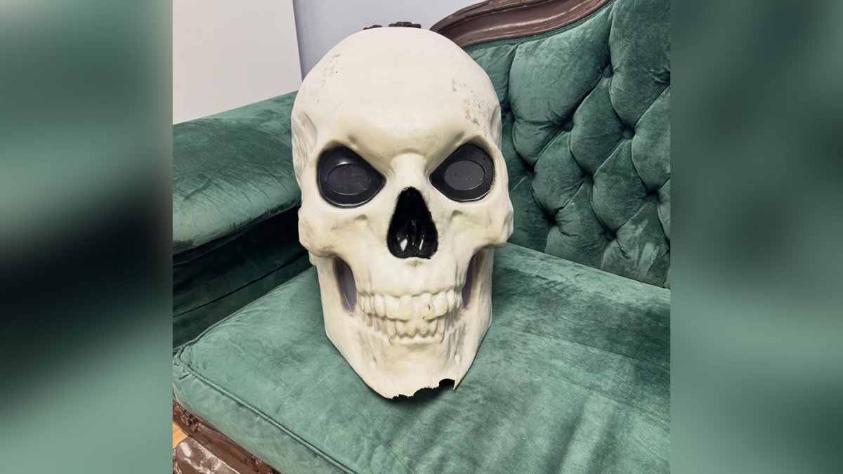 Head returned to Medway’s skeleton named Kevin – NBC Boston