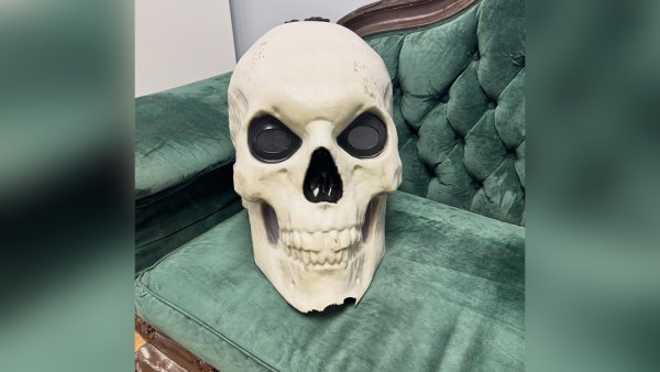 Head returned to Medway’s skeleton named Kevin – NBC Boston
