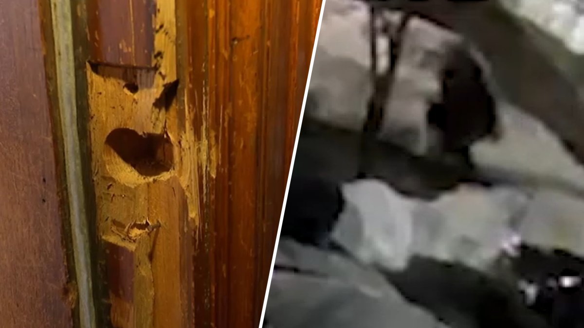 Somerville woman comes face-to-face with man who kicked down her door ...